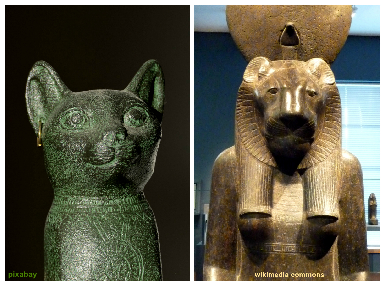 Egypte : des animaux et des dieux | Pichon Voyageur